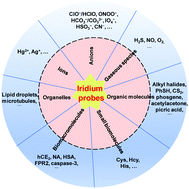 Recent development and application of cyclometalated iridium(iii ...