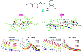 Molecular assemblies from linear-shaped Ln4 clusters to Ln8 clusters ...