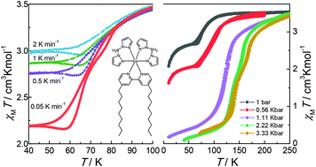 Spin-crossover iron(ii) long-chain complex with slow spin equilibrium ...