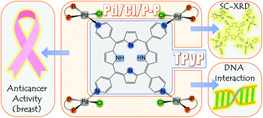 meso-Tetra-(4-pyridyl)porphyrin/palladium(ii) complexes as anticancer agents - Dalton ...