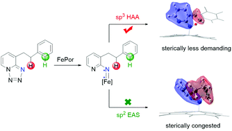 Theoretical studies on iron-catalyzed azaindoline formation: mechanism ...