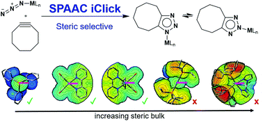 SPAAC iClick: progress towards a bioorthogonal reaction in-corporating ...