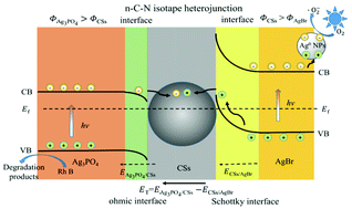 All-solid-state Z-scheme Ag3PO4/CSs/AgBr heterostructures for efficient ...
