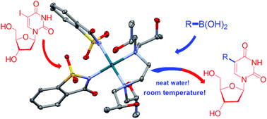 Quadrol-Pd(ii) complexes: phosphine-free precatalysts for the room ...