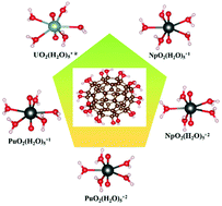 The strong interaction of actinyl ions with fullerenol driven by ...