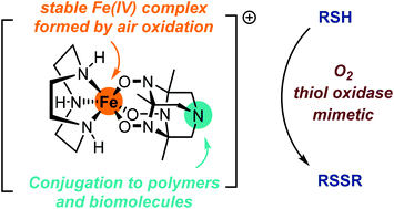 Iron(iv) complexes with tetraazaadamantane-based ligands: synthesis ...