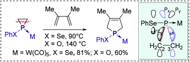 Insight into fragmentation of a phosphirane to form phosphinidene ...