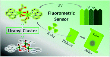 Unveiling the new function of uranyl molecular clusters as fluorometric ...