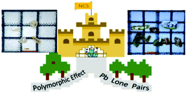 A2P2S6 (A = Ba and Pb): a good platform to study the polymorph effect ...