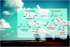 Photo-oxidation of pinic acid in the aqueous phase: a mechanistic ...