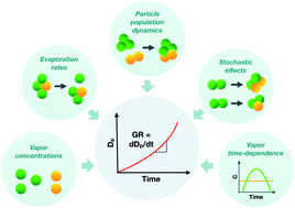 What controls the observed size-dependency of the growth rates of sub ...