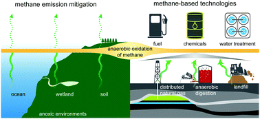 Roles and opportunities for microbial anaerobic oxidation of methane in ...