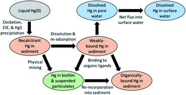Use of sequential extraction and mercury stable isotope analysis to ...