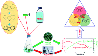 Elucidation of substrate interaction effects in multicomponent systems ...