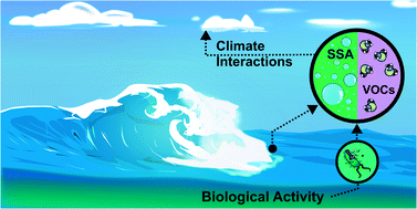 The Sea Spray Chemistry and Particle Evolution study (SeaSCAPE ...