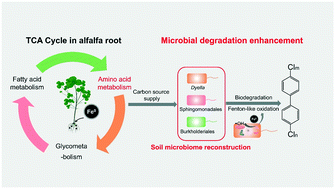 Synergistic remediation of PCB-contaminated soil with nanoparticulate ...