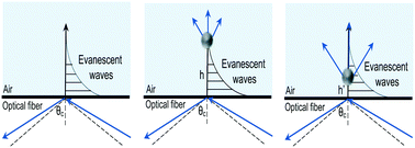 Evanescent wave interactions with nanoparticles on optical fiber ...