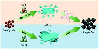 Arsenic species delay structural ordering during green rust sulfate ...