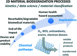 Chemical degradation kinetics for two-dimensional materials in natural ...