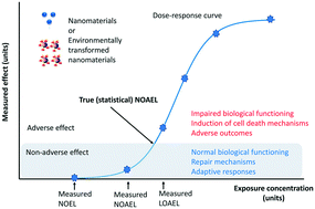 Telling the important stories of “no adverse effect” nanomaterials data ...