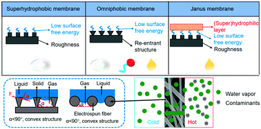 Recent advances in membrane distillation using electrospun membranes ...