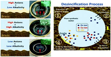 Dezincification of brass water meters in a long-term study: effects of ...