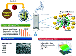 Selective As(v) capture by a novel magnetic green Fe-biochar composite ...