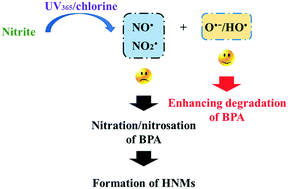 Impact of nitrite on the formation of trichloronitromethane during the ...