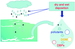 Influence of atmospheric deposition on surface water quality and DBP ...