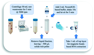 Development of a rapid pre-concentration protocol and a magnetic beads ...