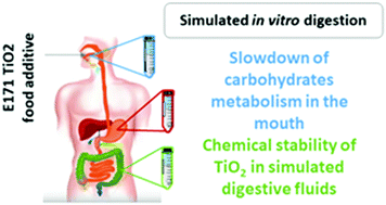 In vitro digestion of food grade TiO2 (E171) and TiO2 nanoparticles ...