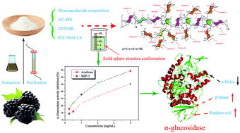 The structure, conformation, and hypoglycemic activity of a novel ...