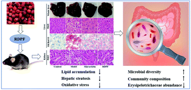 Flavonoids from Rosa davurica Pall. fruits prevent high-fat diet ...