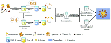 Improved stability of liposome-stabilized emulsions as a co ...