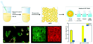 Enhancing the bioaccessibility of puerarin through the collaboration of ...