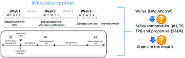 Temporal changes in salivary composition induced by oral exposure to ...