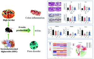 Secoisolariciresinol diglucoside ameliorates high fat diet-induced ...