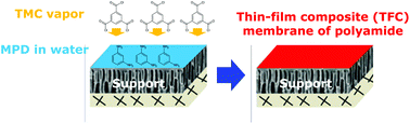 Vapor phase interfacial polymerization: a method to synthesize thin ...