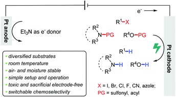 A facile and versatile electro-reductive system for ...