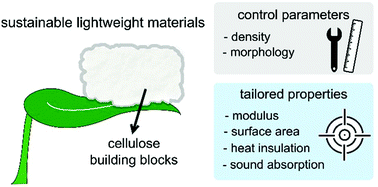 Fundamentals of cellulose lightweight materials: bio-based assemblies ...