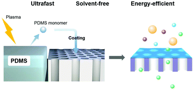 Solvent-free, ultrafast and ultrathin PDMS coating triggered by plasma ...