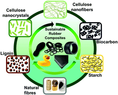 Bioresourced fillers for rubber composite sustainability: current ...
