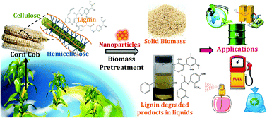 An eco-friendly biomass pretreatment strategy utilizing reusable enzyme ...