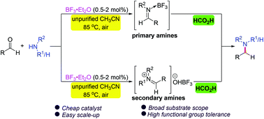 BF3·Et2O as a metal-free catalyst for direct reductive amination of ...