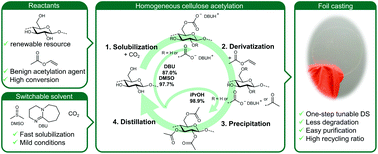 A more sustainable synthesis approach for cellulose acetate using the ...