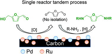 Single-reactor tandem oxidation–amination process for the synthesis of ...