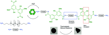 Thermoplastic silicone elastomers from divanillin crosslinkers in a ...