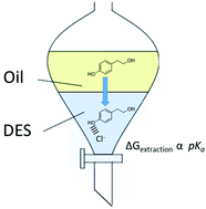 Effect of solute polarity on extraction efficiency using deep eutectic ...