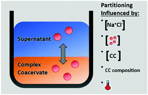 Complex coacervates as extraction media - Green Chemistry (RSC Publishing)