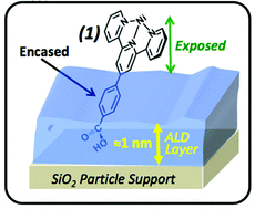 Immobilization of molecular catalysts on solid supports via atomic ...